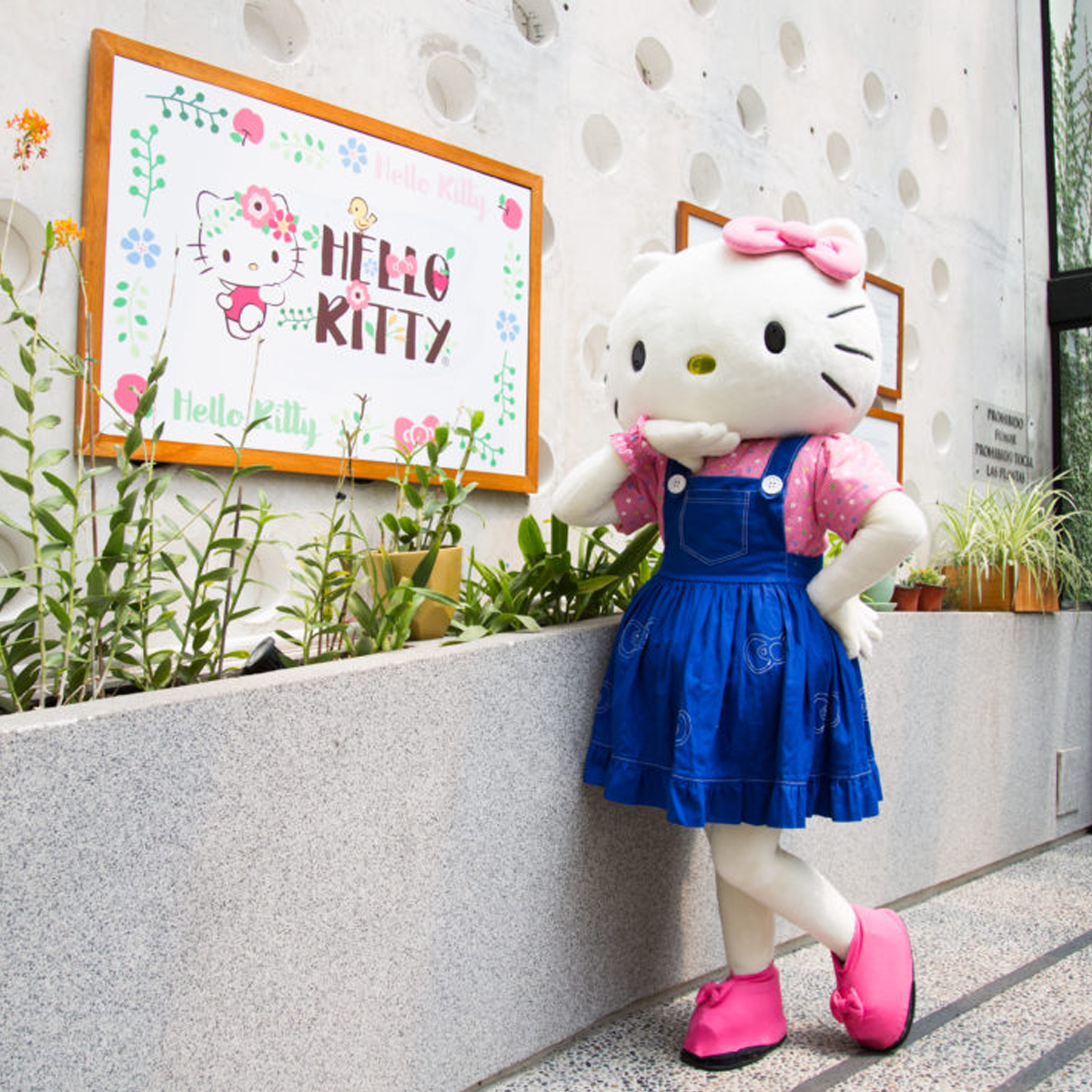Hello Kitty – Eventos – Ardilla Díaz
